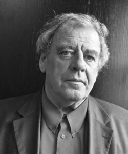 Prijs der Nederlandse Letteren